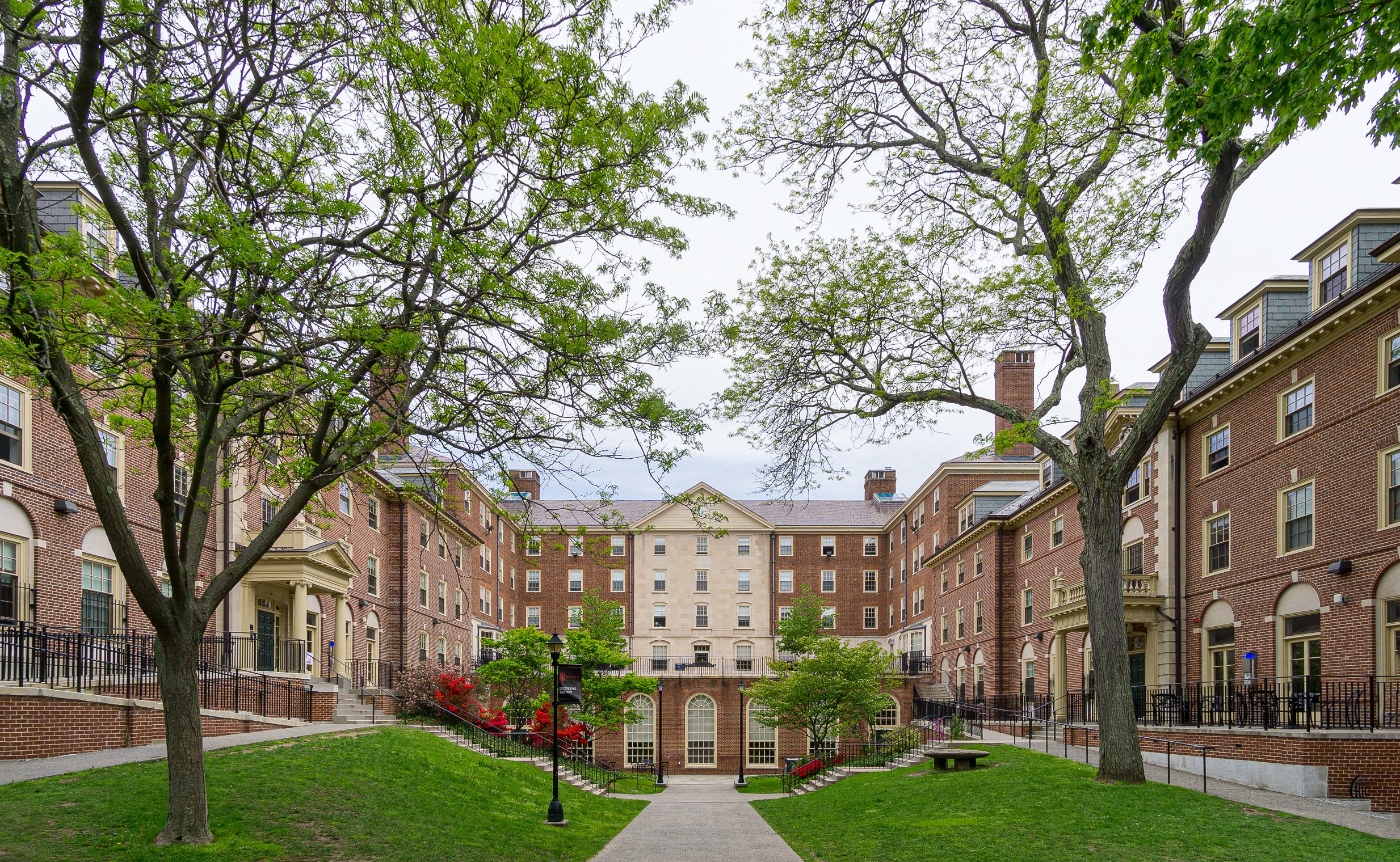 Brown University Track & Field & Cross Country: A Deep Dive for ...