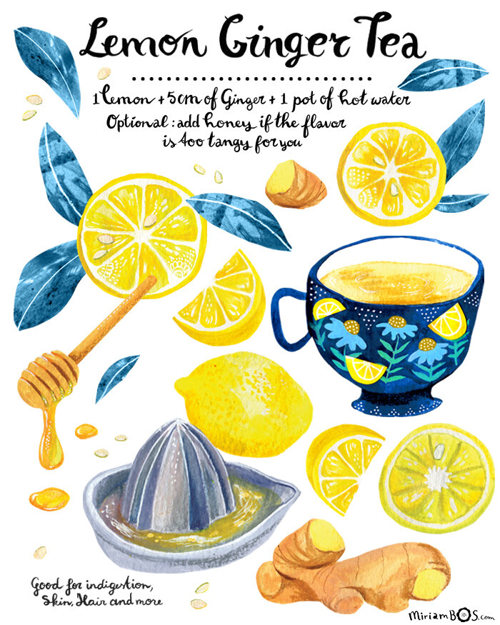 Lemon Ginger tea – an illustrated recipe — Miriam Bos - illustration ...
