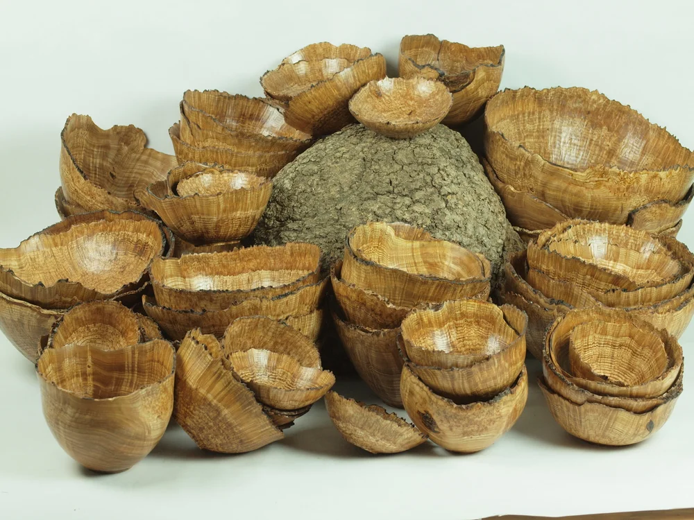 How to Harvest and Sell Burls — philholtan.com
