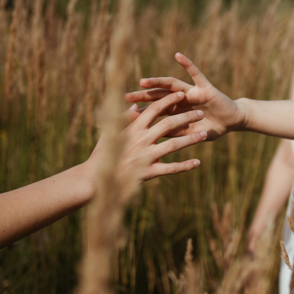 Conscious Relationships | Journal — Ora Collective