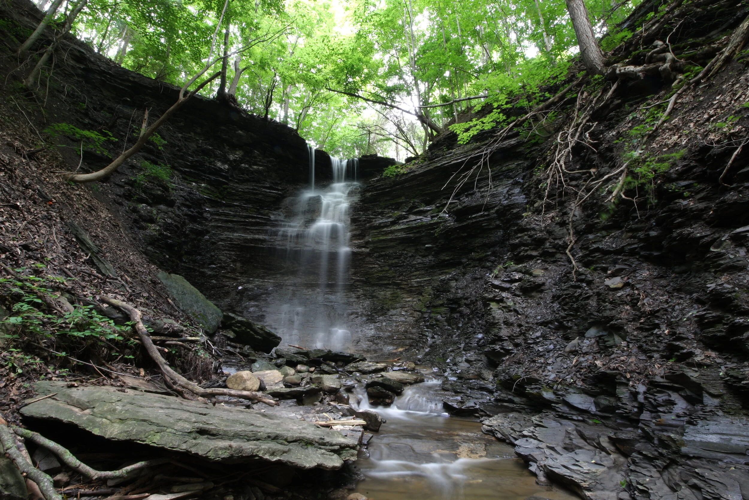 Genesee Valley Conservancy | Support & Explore Nature