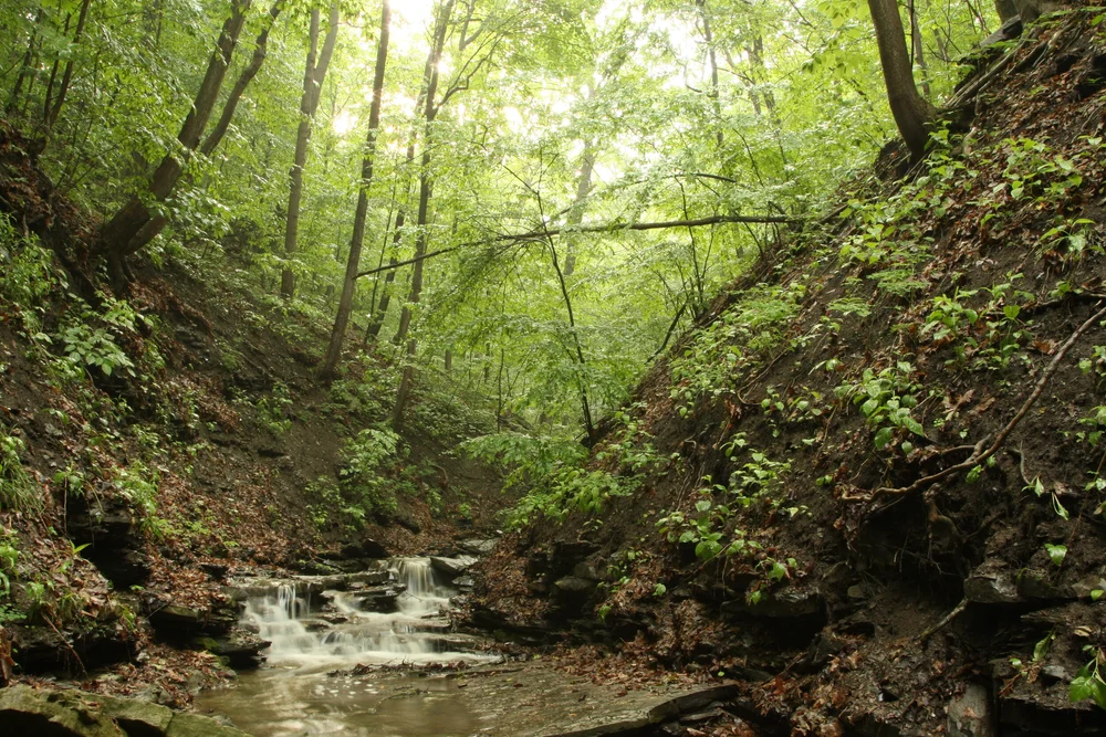 Our Mission — Genesee Valley Conservancy