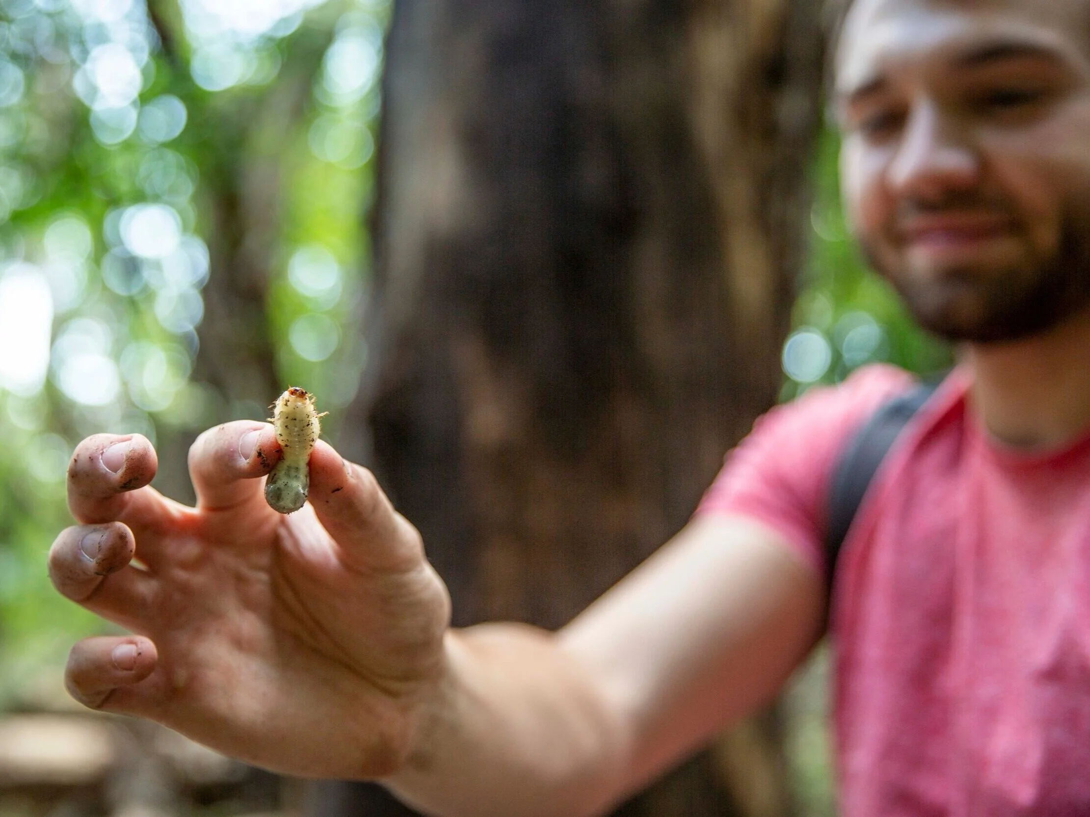 Genesee Valley Conservancy | Support & Explore Nature