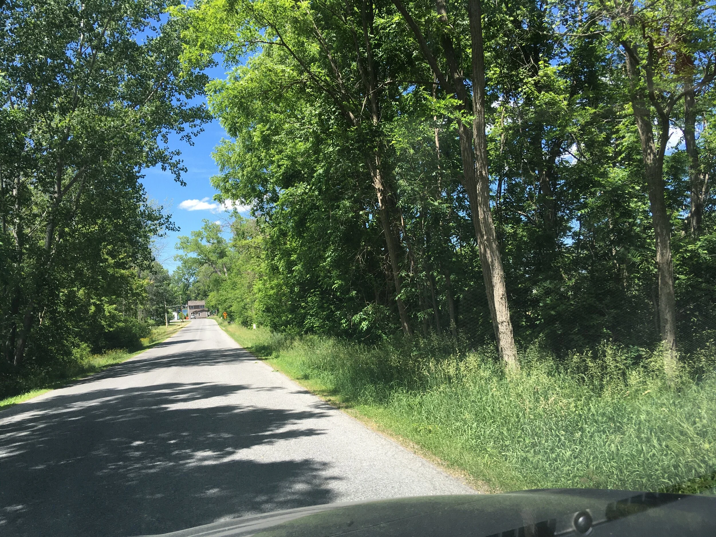 Conesus Lake Land Protected | Life in the Finger Lakes