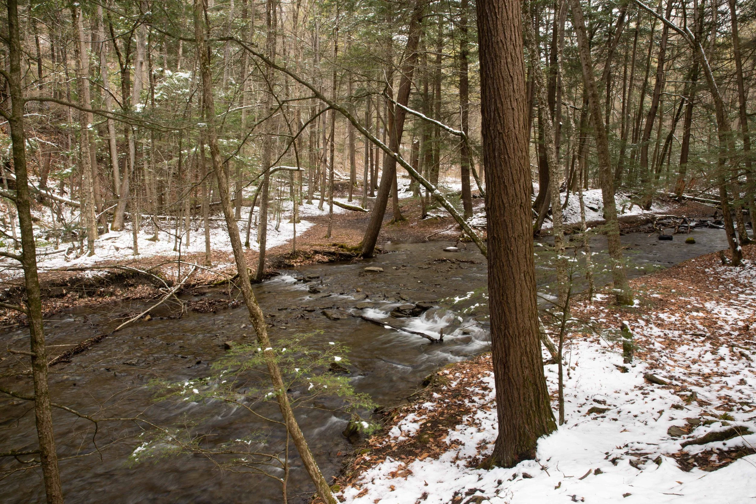 Wayland Waterfall Becomes Conservancy Preserve — Genesee Valley Conservancy