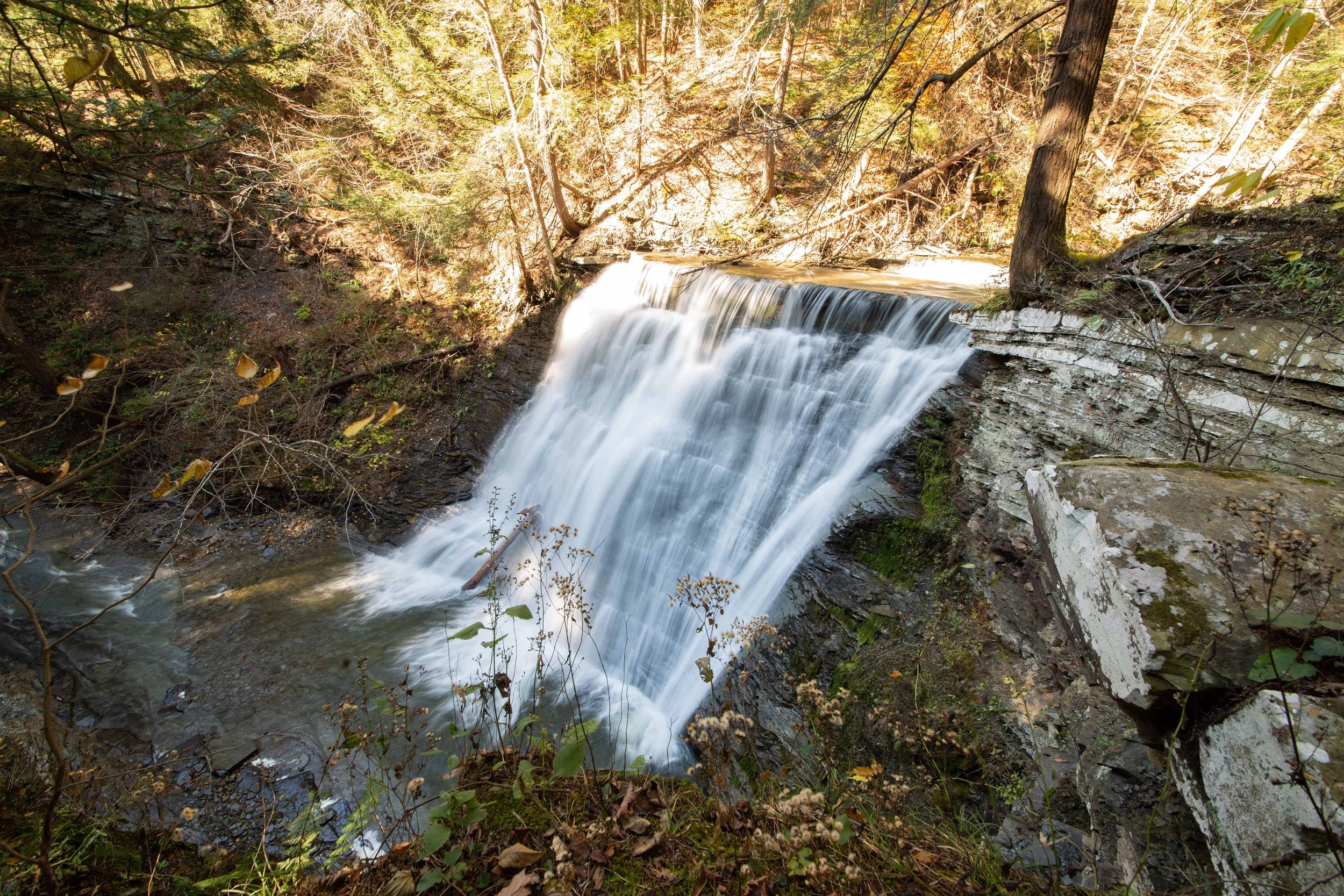 Wayland Waterfall Becomes Conservancy Preserve — Genesee Valley Conservancy