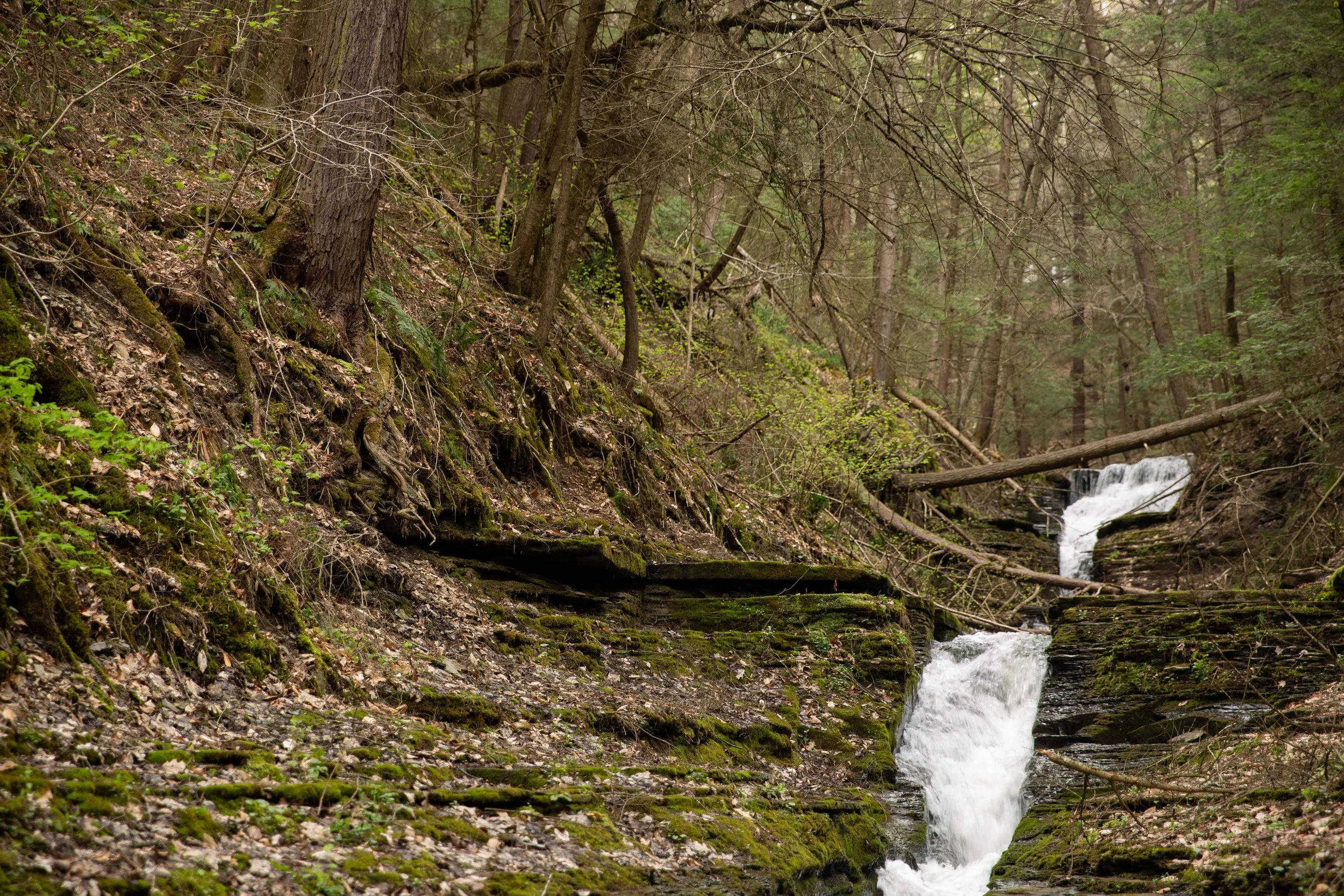 Wayland Waterfall Becomes Conservancy Preserve — Genesee Valley Conservancy
