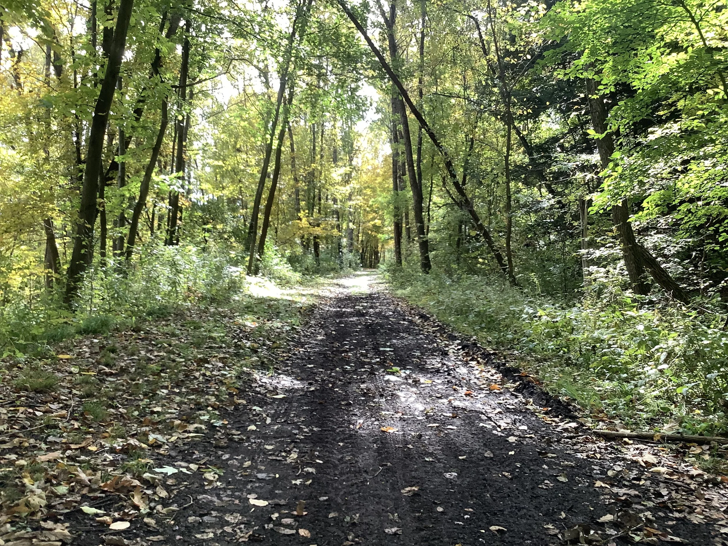 Genesee Valley Conservancy