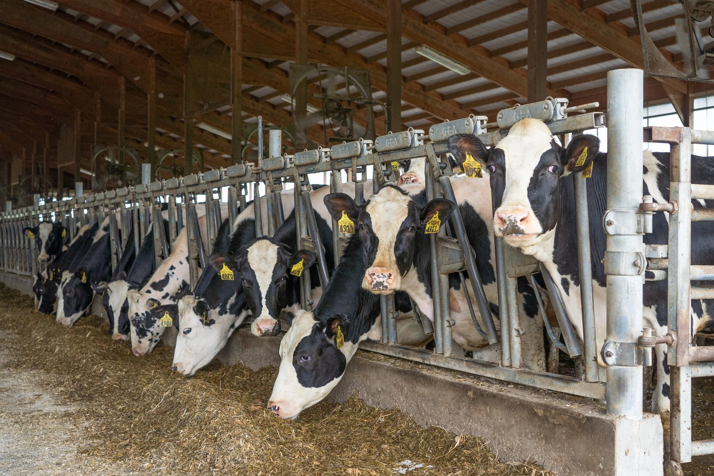 Milligan Family Protects Armson Farms in Covington and York — Genesee ...