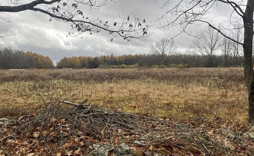 Land Purchase to Enhance Rattle Snake Hill Wildlife Management Area ...