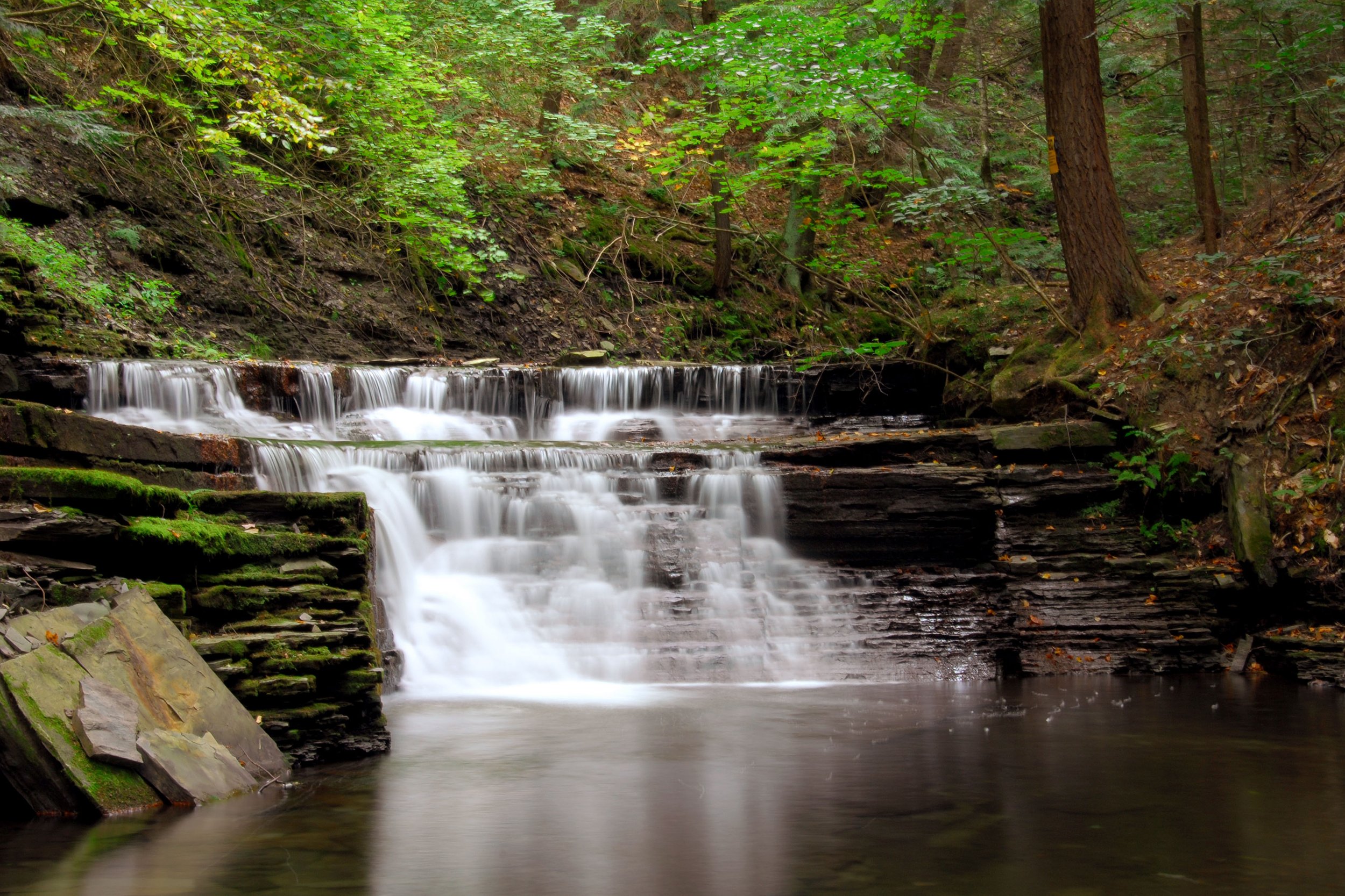 The Gully Nature Preserve (Wayland) — Genesee Valley Conservancy