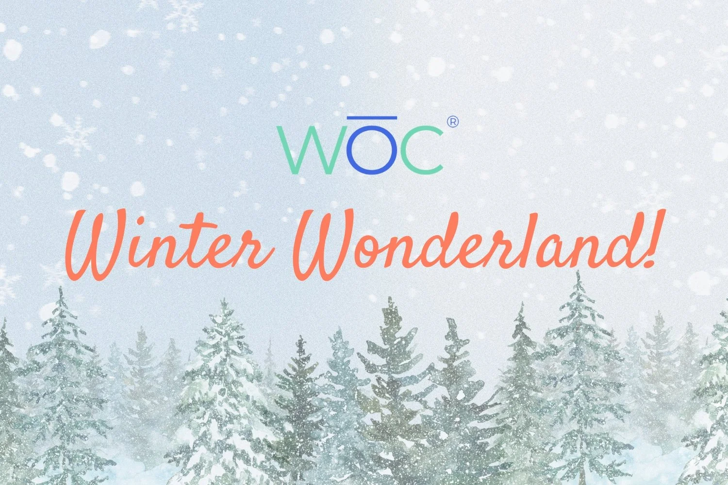 WOC Winter Wonderland 2024 — Women of Color in Fundraising and ...