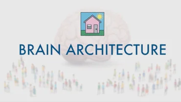 Resources For Professionals | Oxford Brain Story — Oxford Brain Story ...
