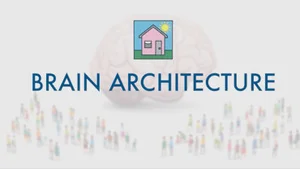 Resources For Professionals | Oxford Brain Story — Oxford Brain Story ...