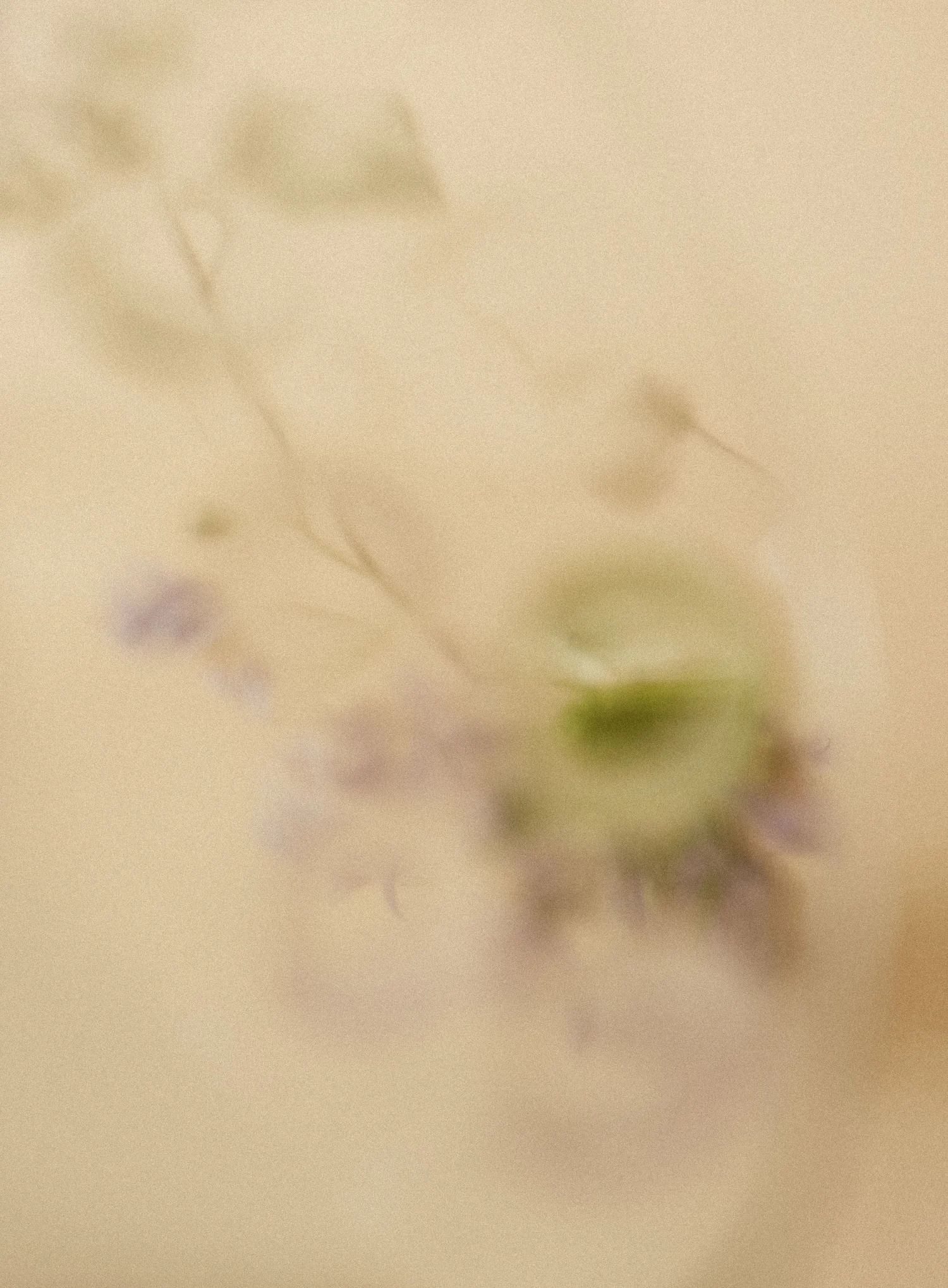 Anamniseis for Rake Progress Magazine — COSMOS&PLUMS