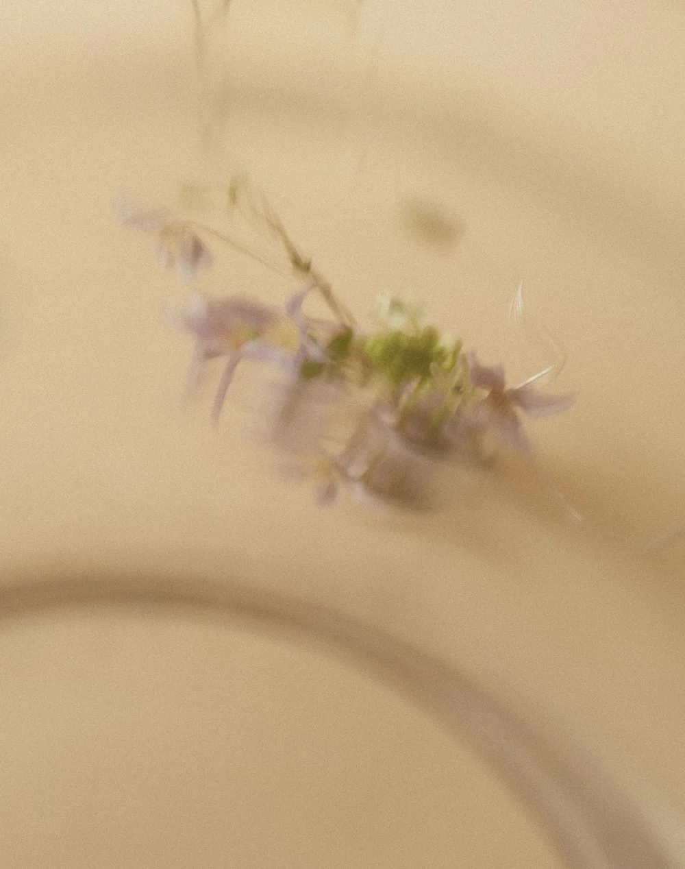 Anamniseis for Rake Progress Magazine — COSMOS&PLUMS