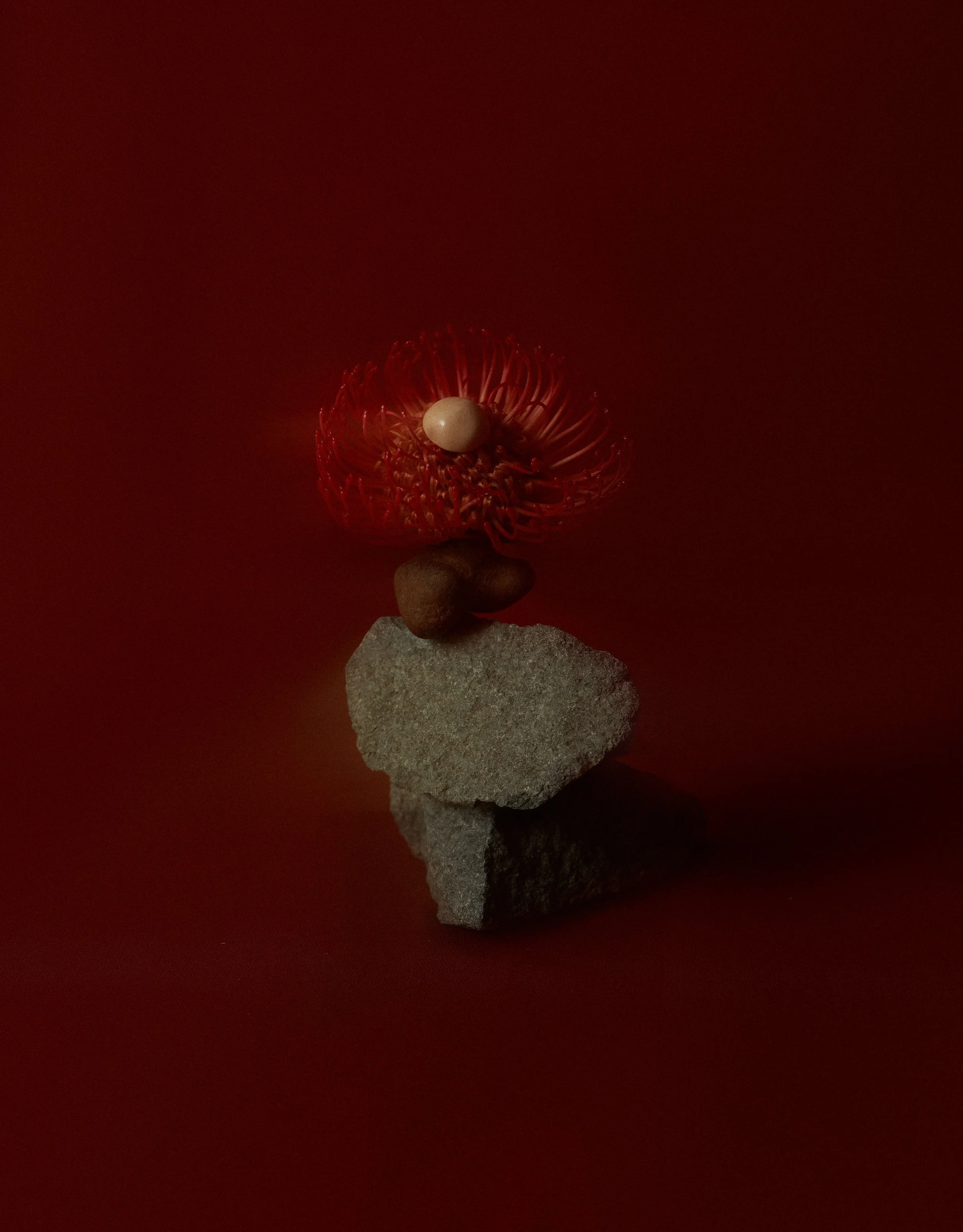 Anamniseis for Rake Progress Magazine — COSMOS&PLUMS