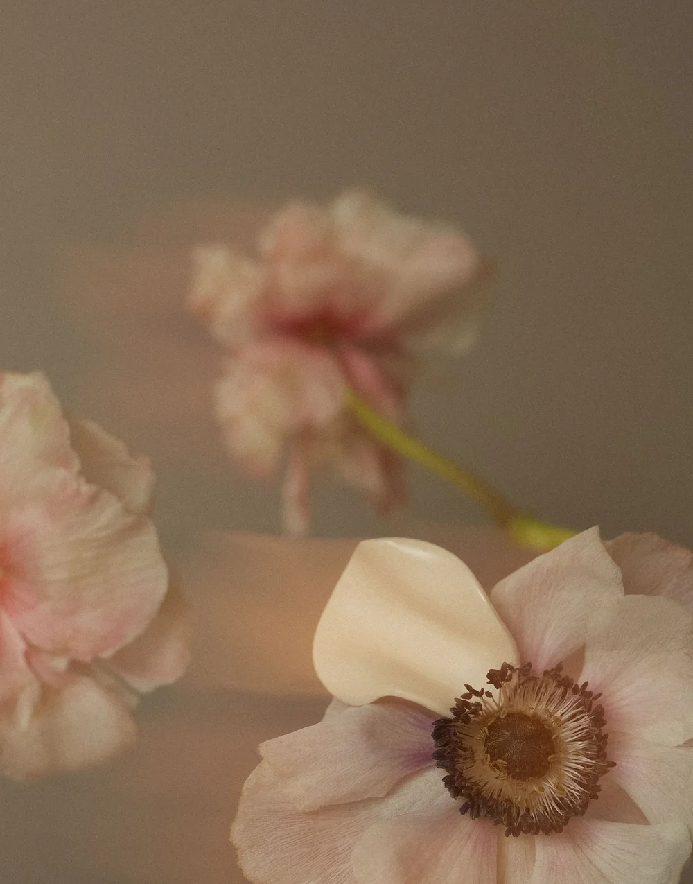 Anamniseis for Rake Progress Magazine — COSMOS&PLUMS
