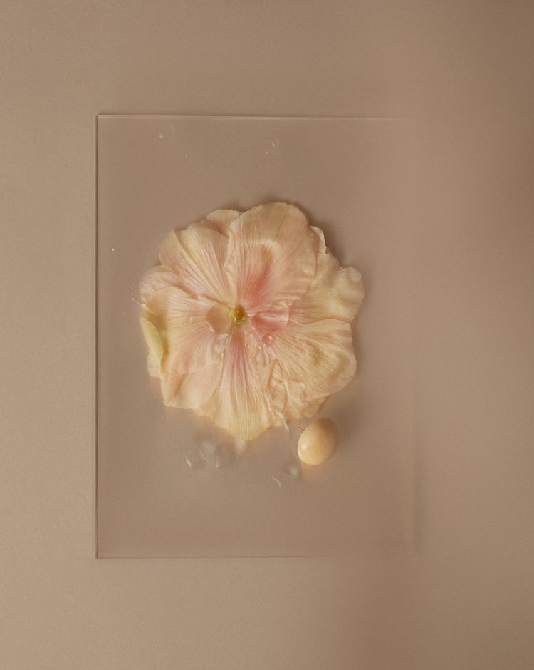 Anamniseis for Rake Progress Magazine — COSMOS&PLUMS