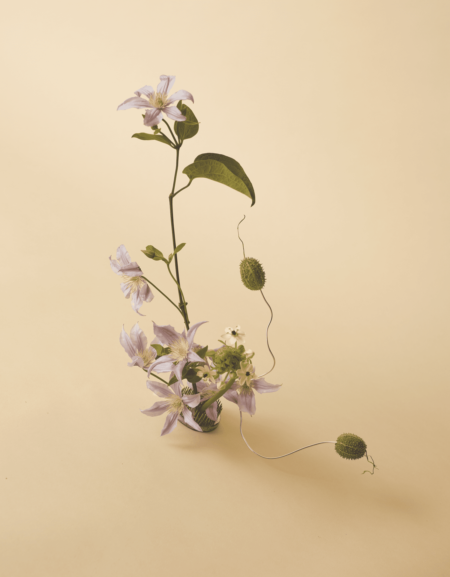 Anamniseis for Rake Progress Magazine — COSMOS&PLUMS
