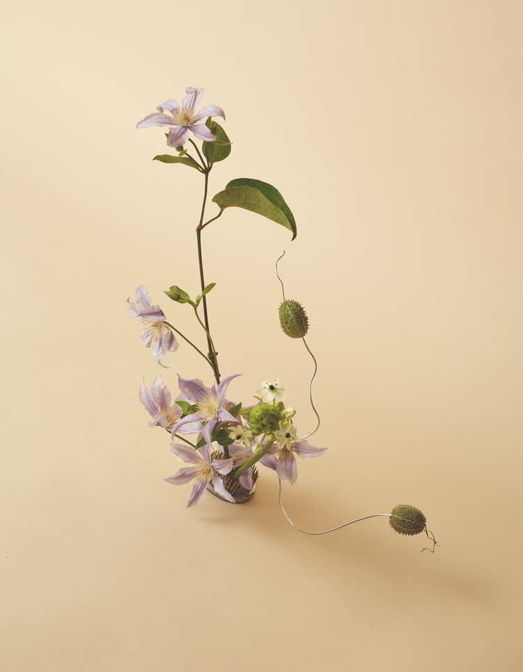 Anamniseis for Rake Progress Magazine — COSMOS&PLUMS