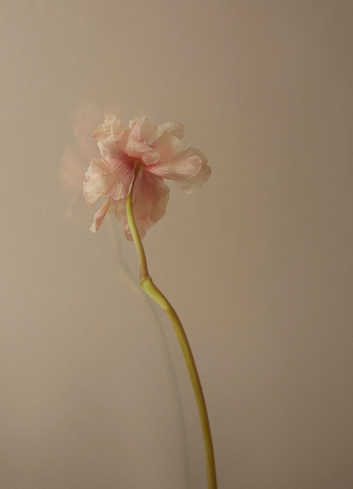 Anamniseis for Rake Progress Magazine — COSMOS&PLUMS