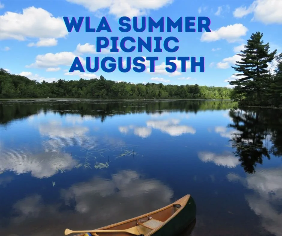 Annual WLA Picnic - Saturday, August 5, 2023. Rain Date, Sunday, August ...