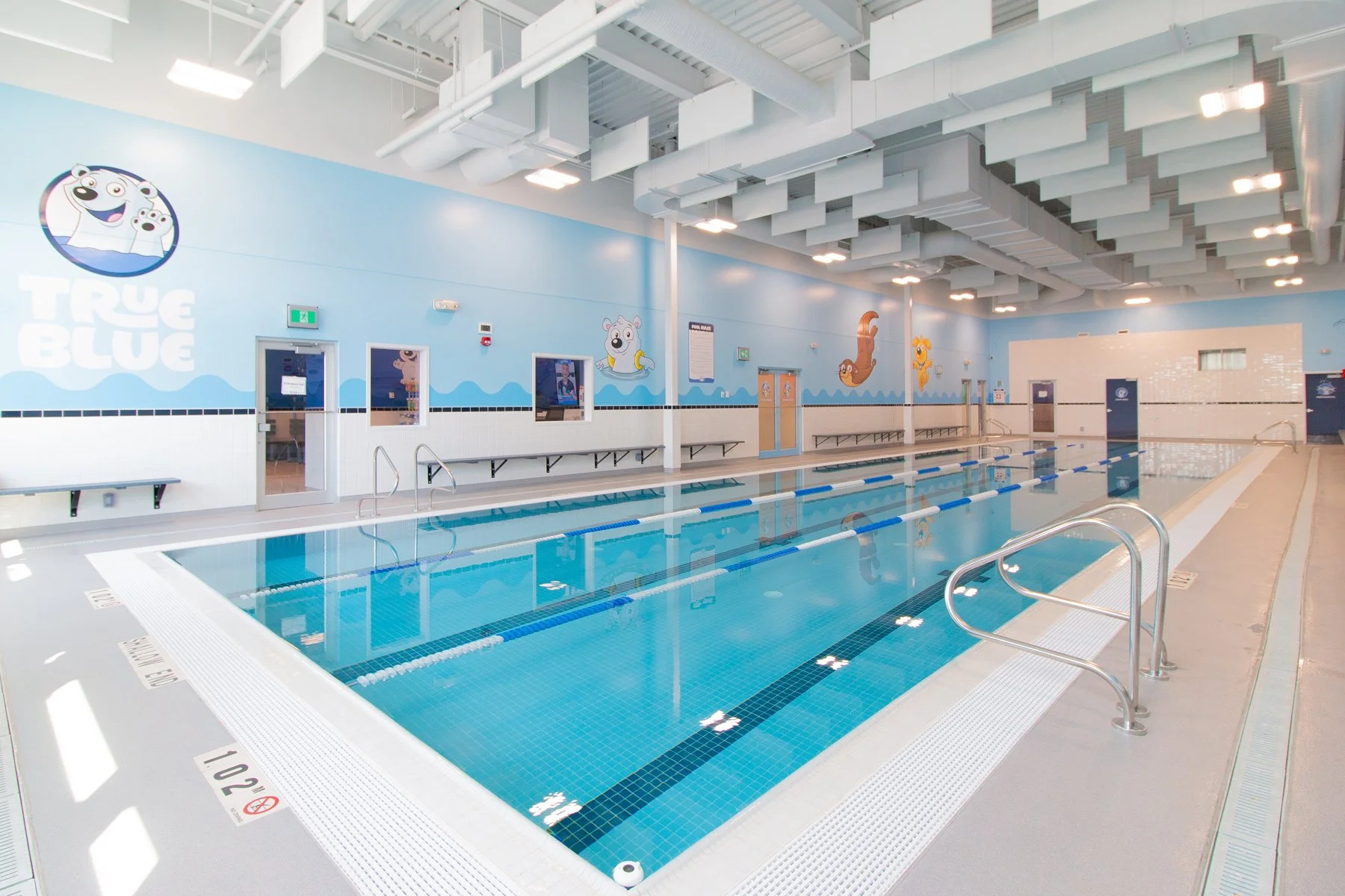 True Blue Swim School Buffalo Run — Next Architecture