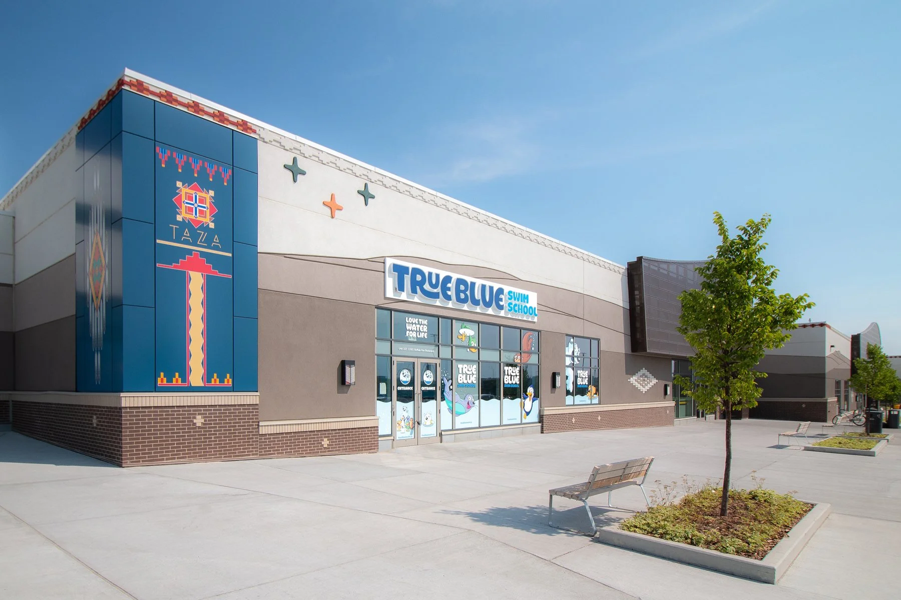 True Blue Swim School Buffalo Run — Next Architecture