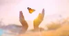 Why Am I Here? Discover Your Life’s Purpose Now