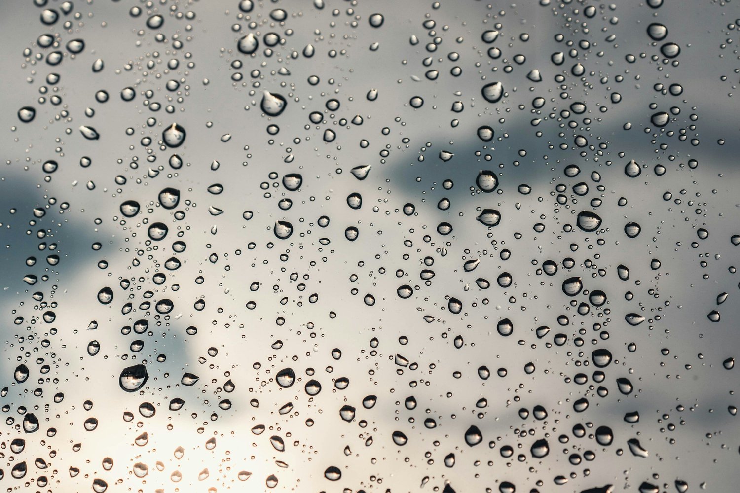 Understanding Dew Point — SensorPush