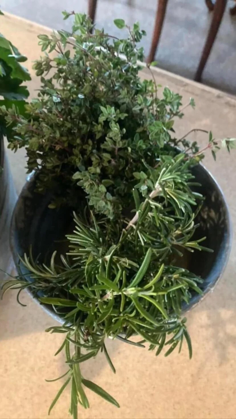 Elliott Brothers Farm