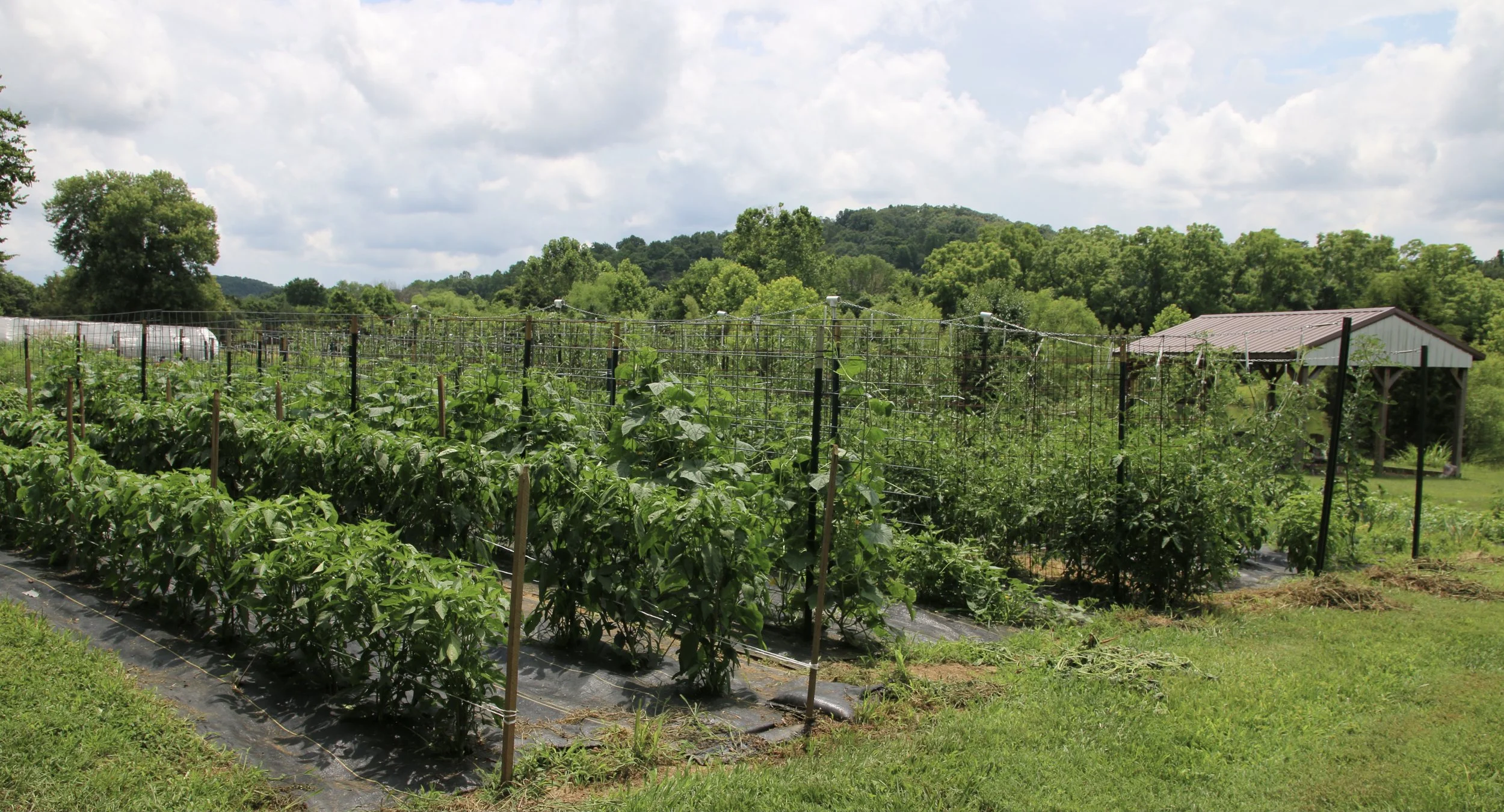 Elliott Brothers Farm