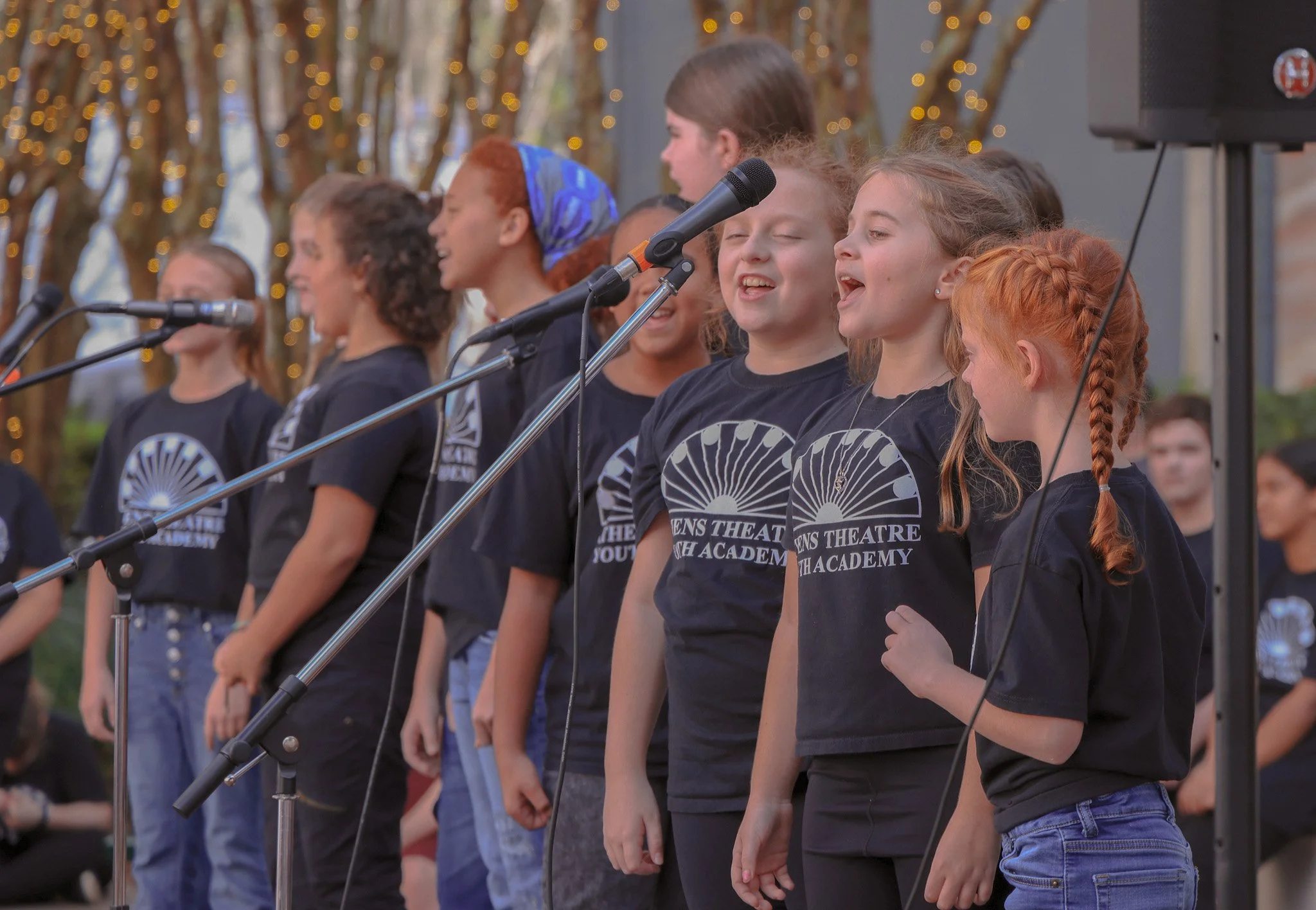 Fall Festival of the Arts - DeLand