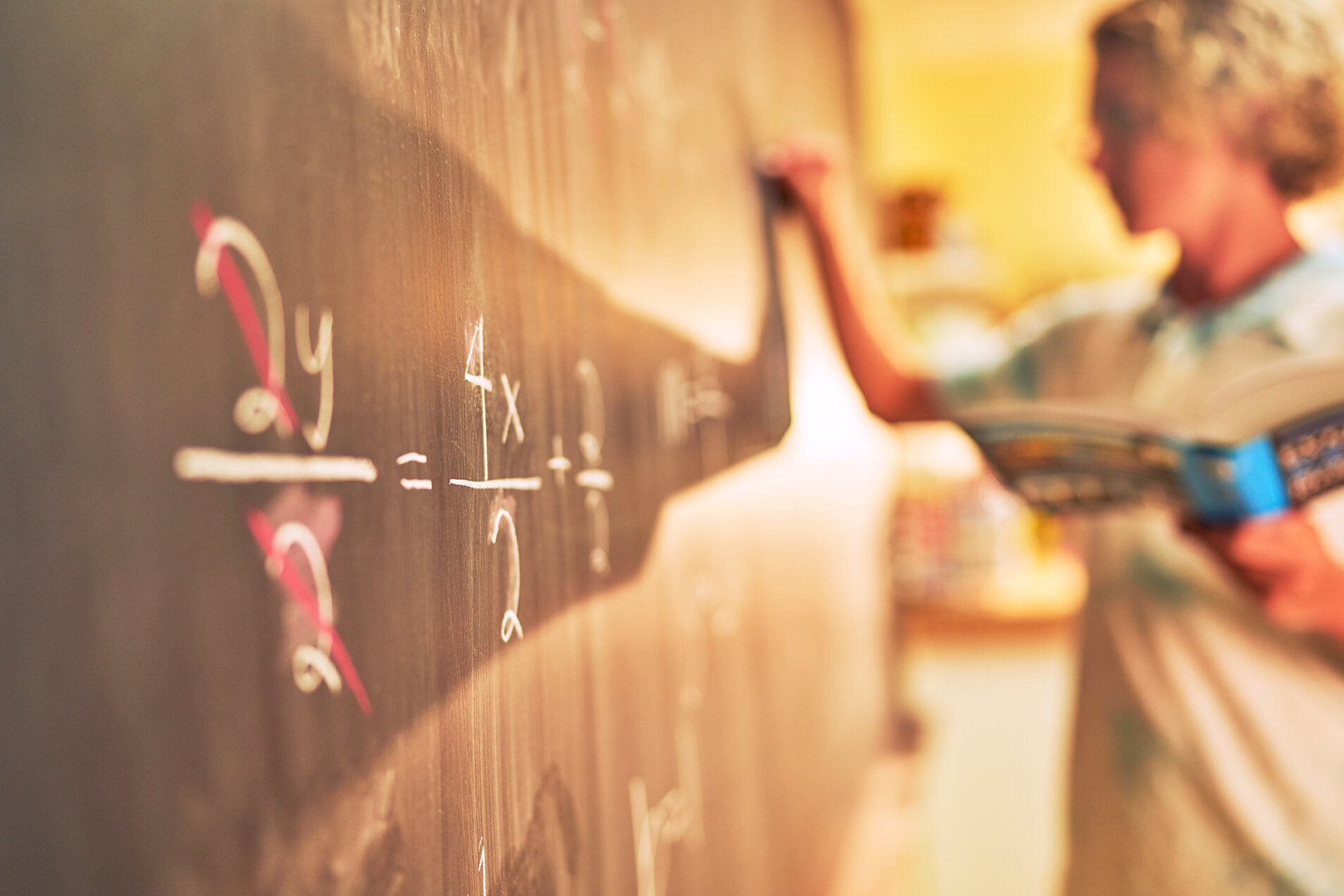 Middle School — The Waldorf School of Tampa Bay