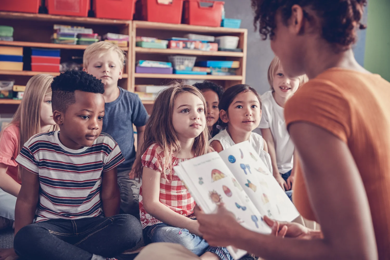 New Solutions K12