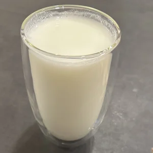 Sweet Plain Lassi - Sweetened Indian Yogurt Milk Drink — Cooking with Anadi