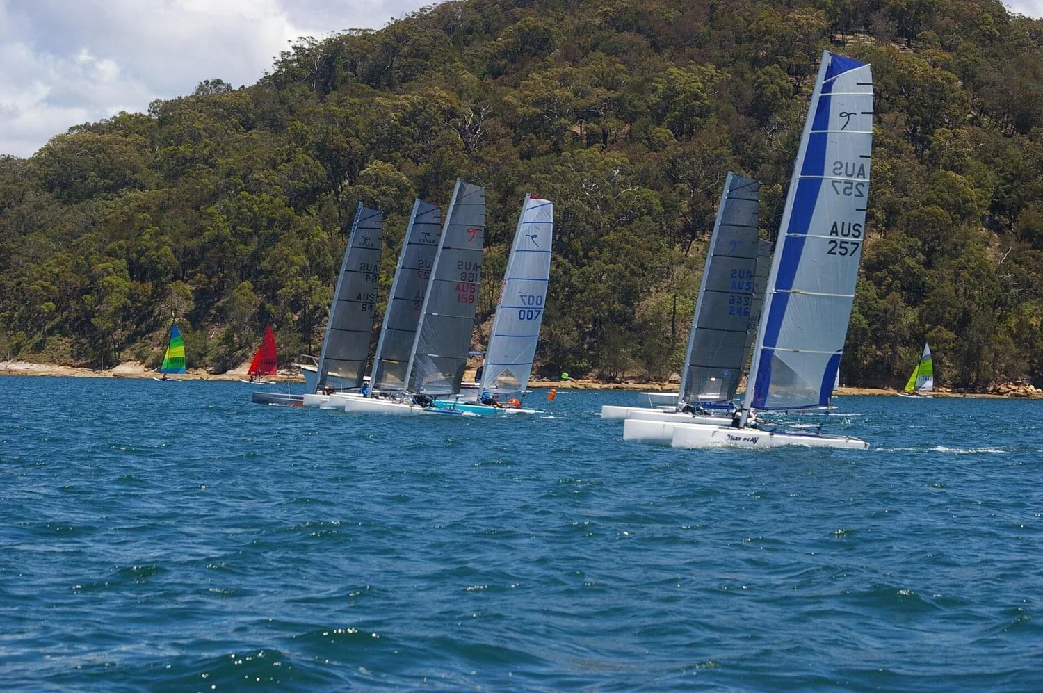 The Catamarans — Taipan Catamaran Association of Australia (TCAA)