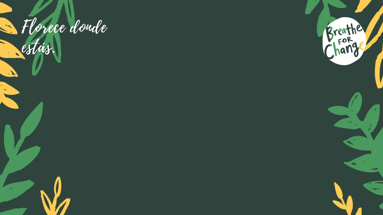 Custom Zoom Backgrounds — Breathe For Change