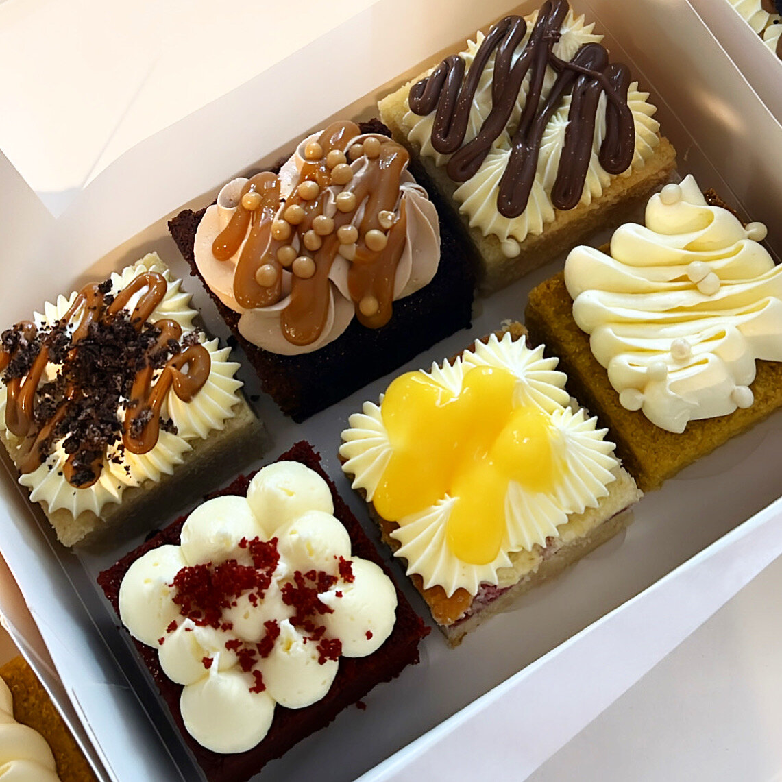 Shop — Tegan's Custom Cakes