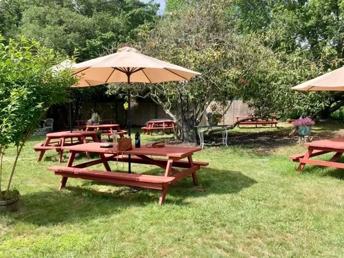 Sly Fox Den Too — Sly Fox Den Restaurant & Cultural Center