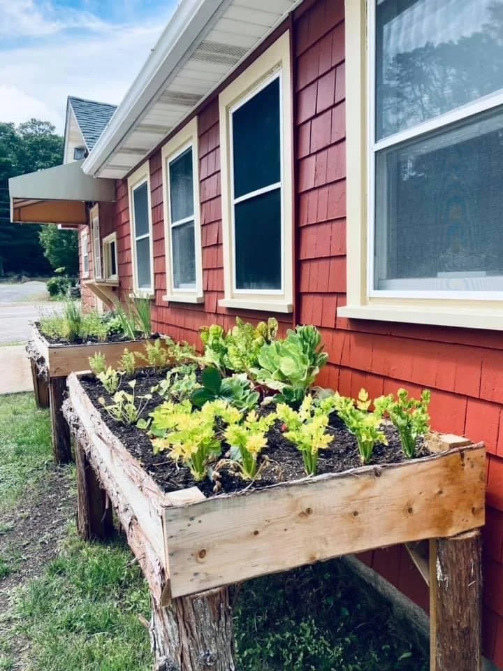 Sly Fox Den Too — Sly Fox Den Restaurant & Cultural Center