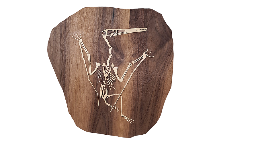 Wooden Fossil Inlay