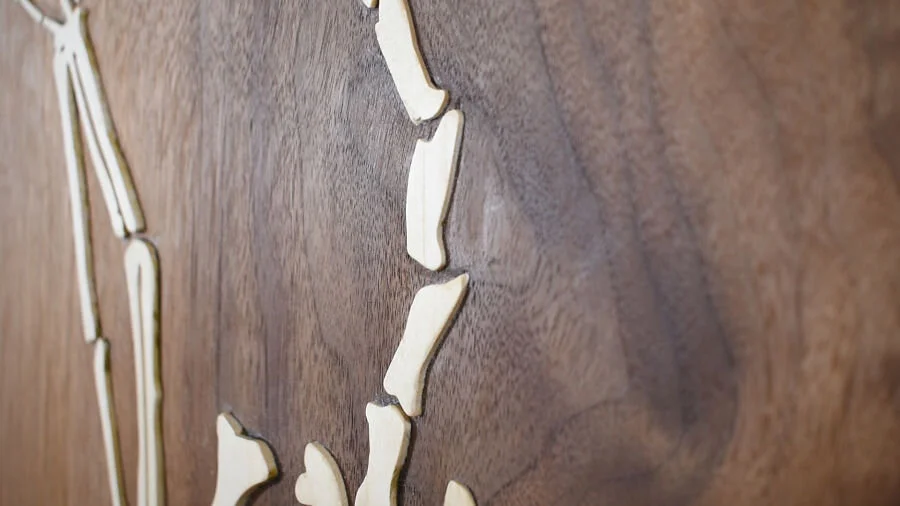 Wooden Fossil Inlay