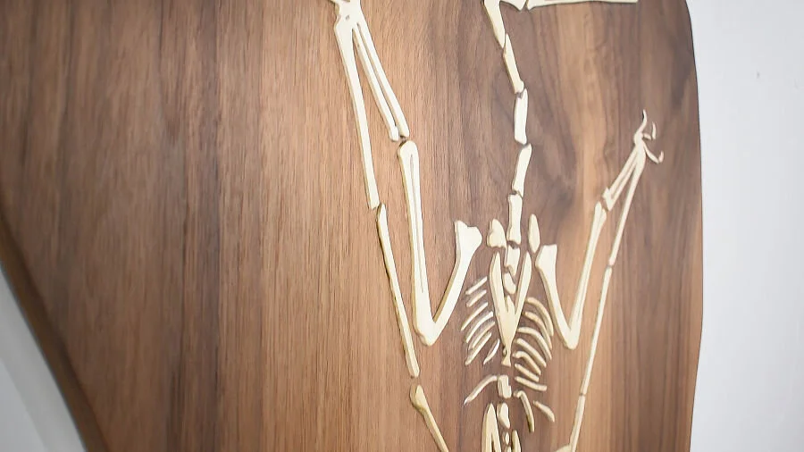 Wooden Fossil Inlay