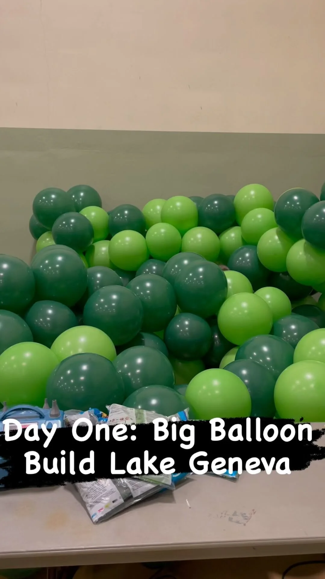 Madison Balloon Decor and Family Entertainment