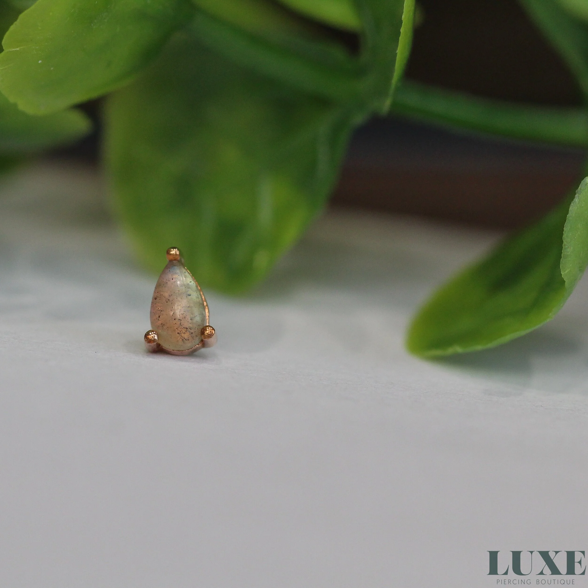 Shop — Luxe Piercing Boutique