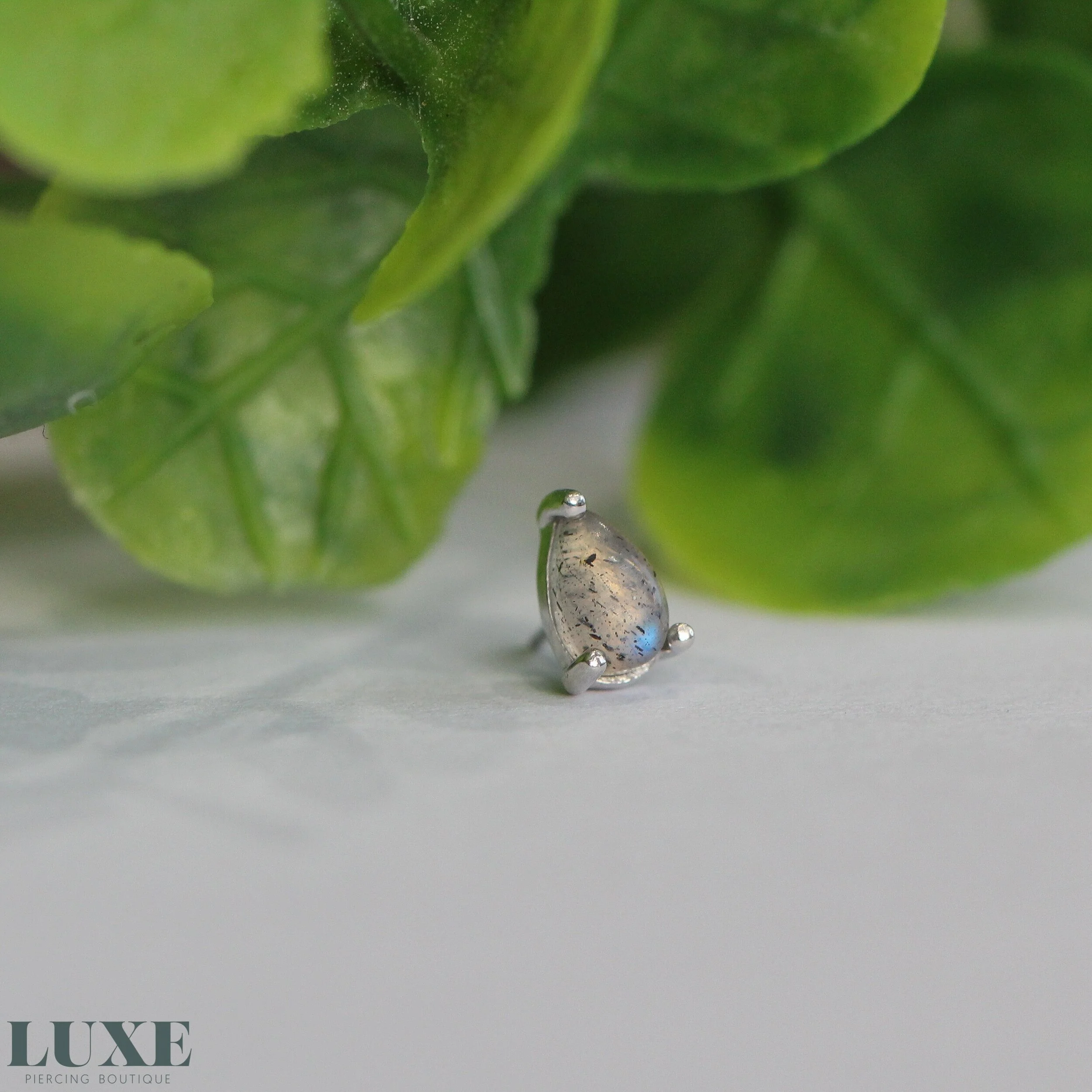 Shop — Luxe Piercing Boutique