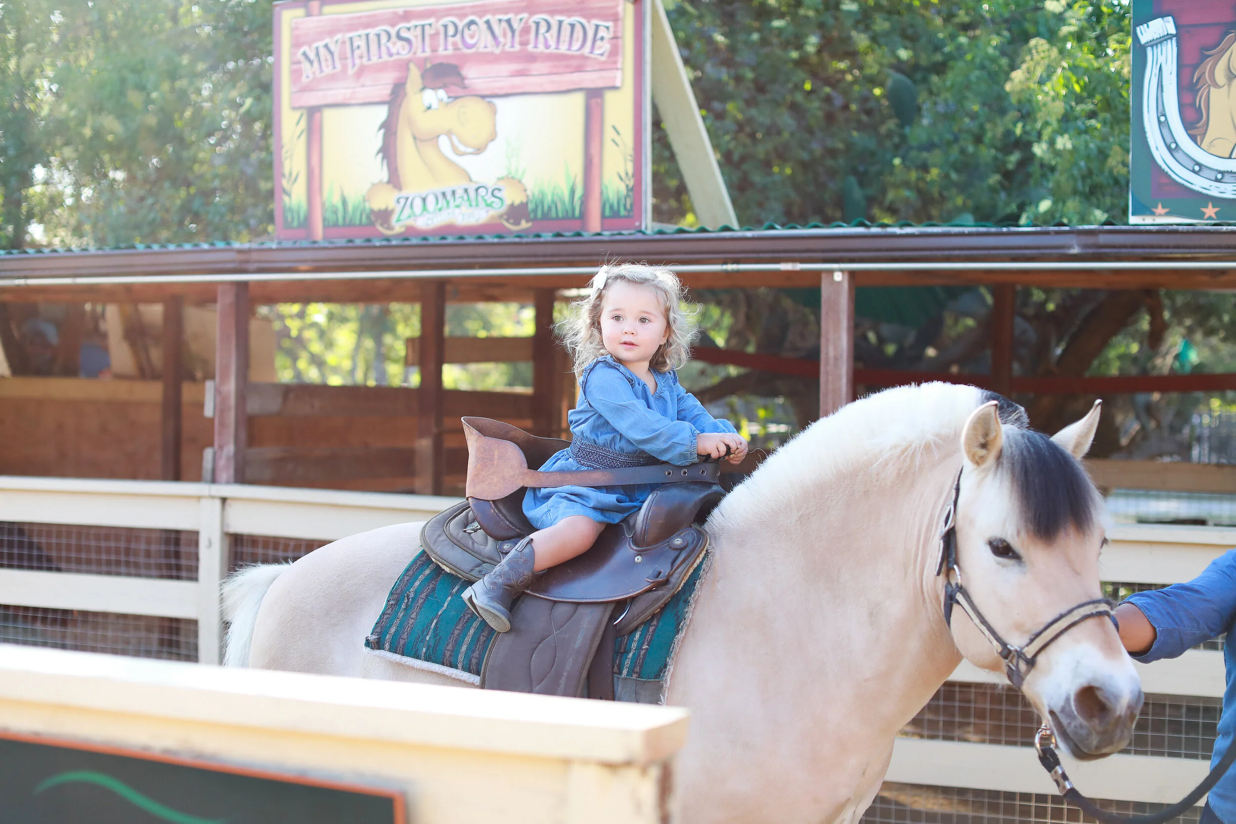 Attractions — Zoomars at River Street Ranch