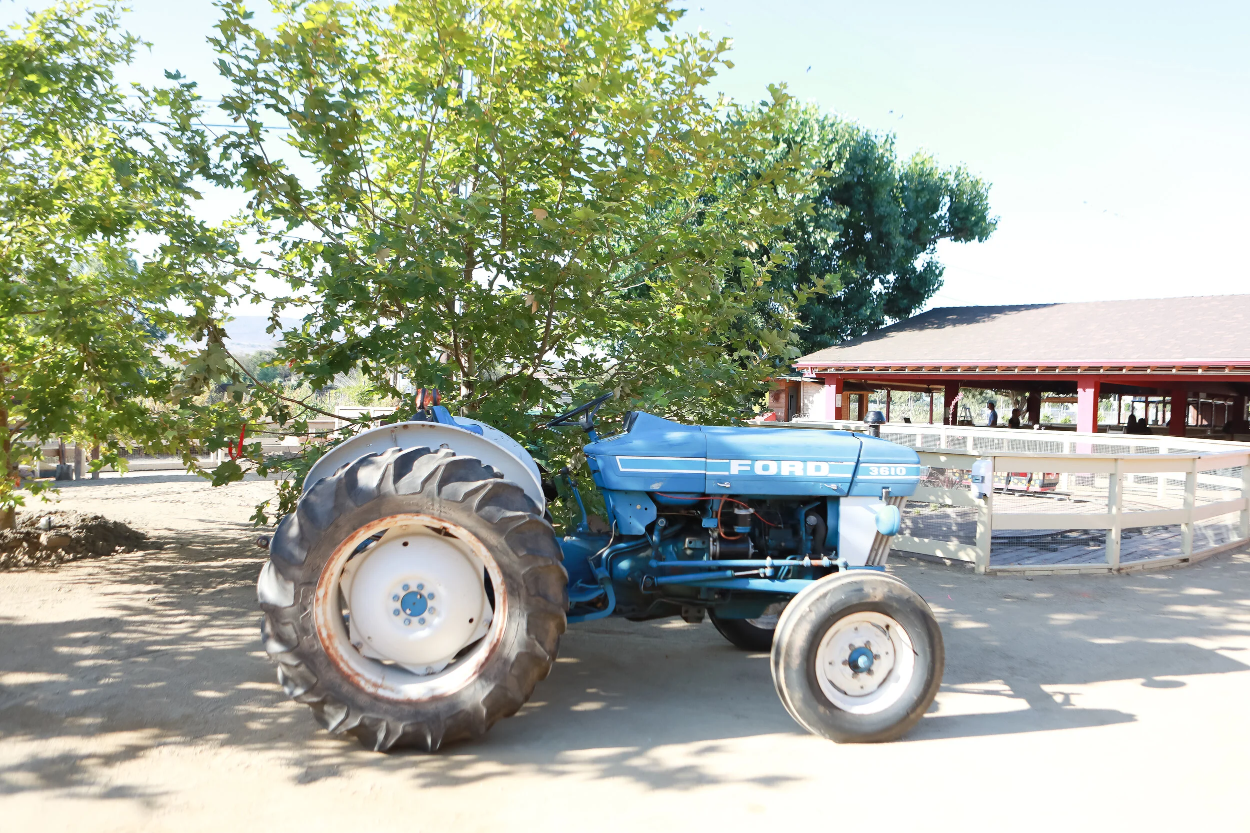 Our Story — Zoomars at River Street Ranch